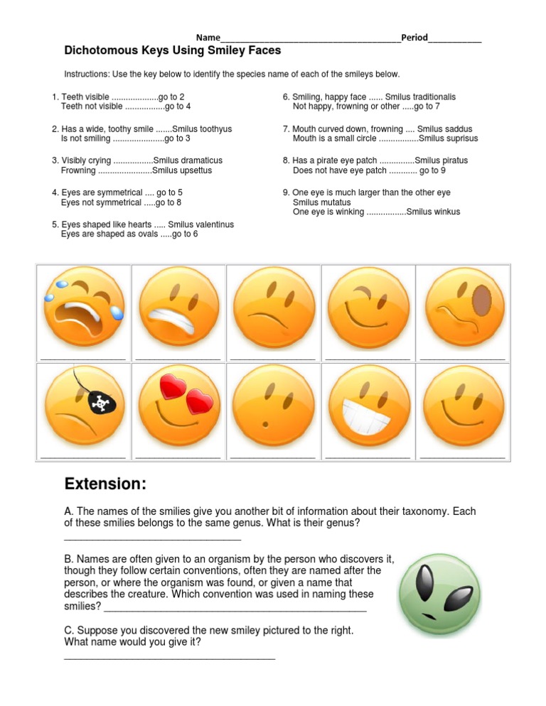 Dichotomous Keys Worksheet | PDF