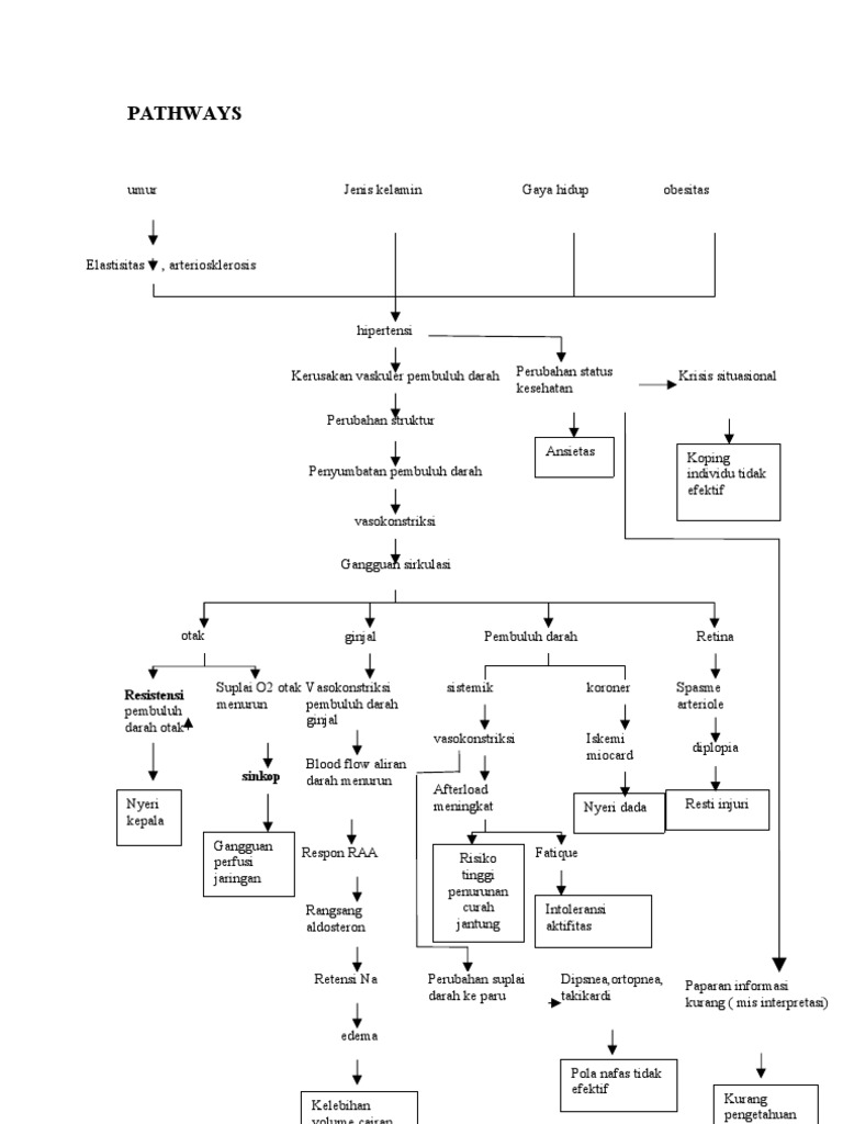 PATHWAYS Hipertensi