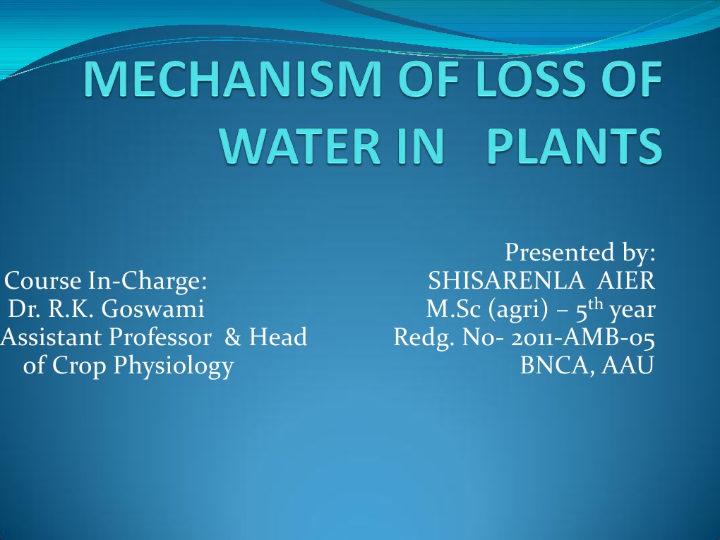 Mechanism of Loss of Water by Plants | PDF | Stoma | Osmosis