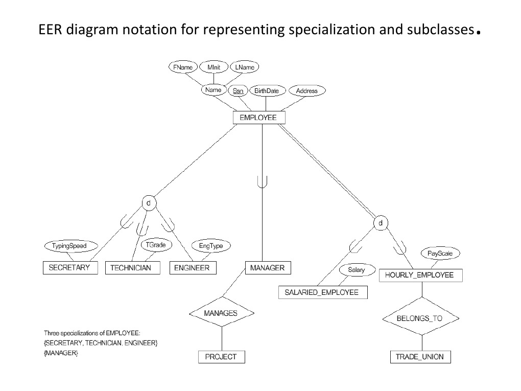 EER Diagram For Company Database | PDF | Teaching Mathematics | Business