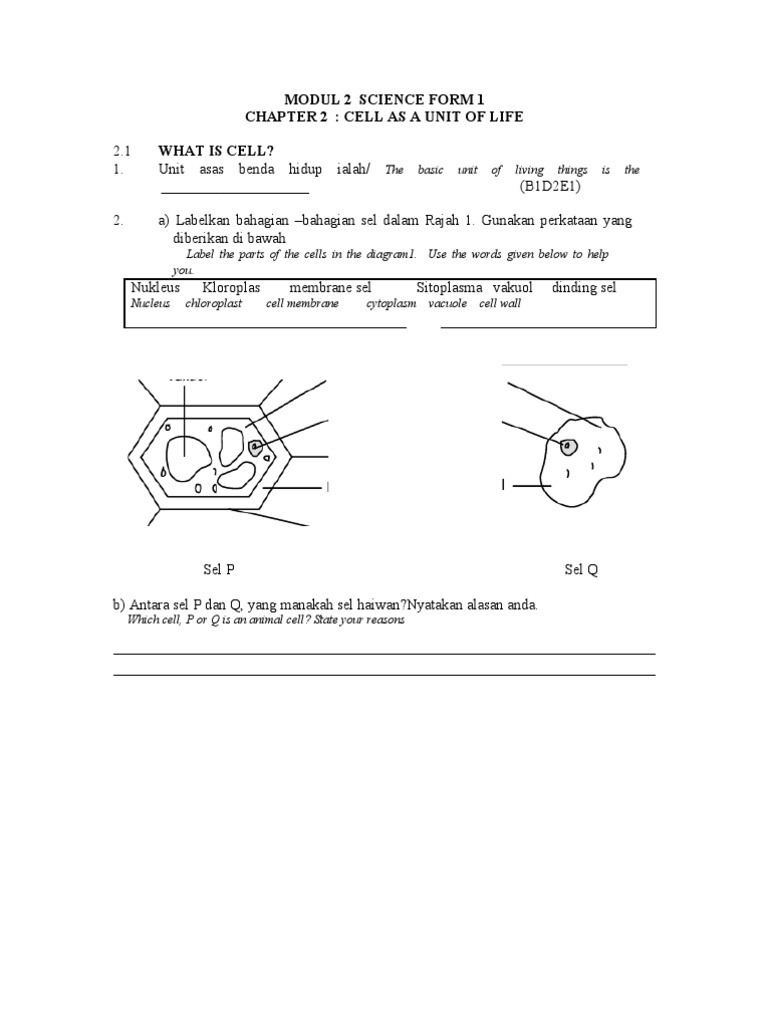 Modul 2 Science Form 1 Chapter 2: Cell As A Unit of Life What Is Cell ...