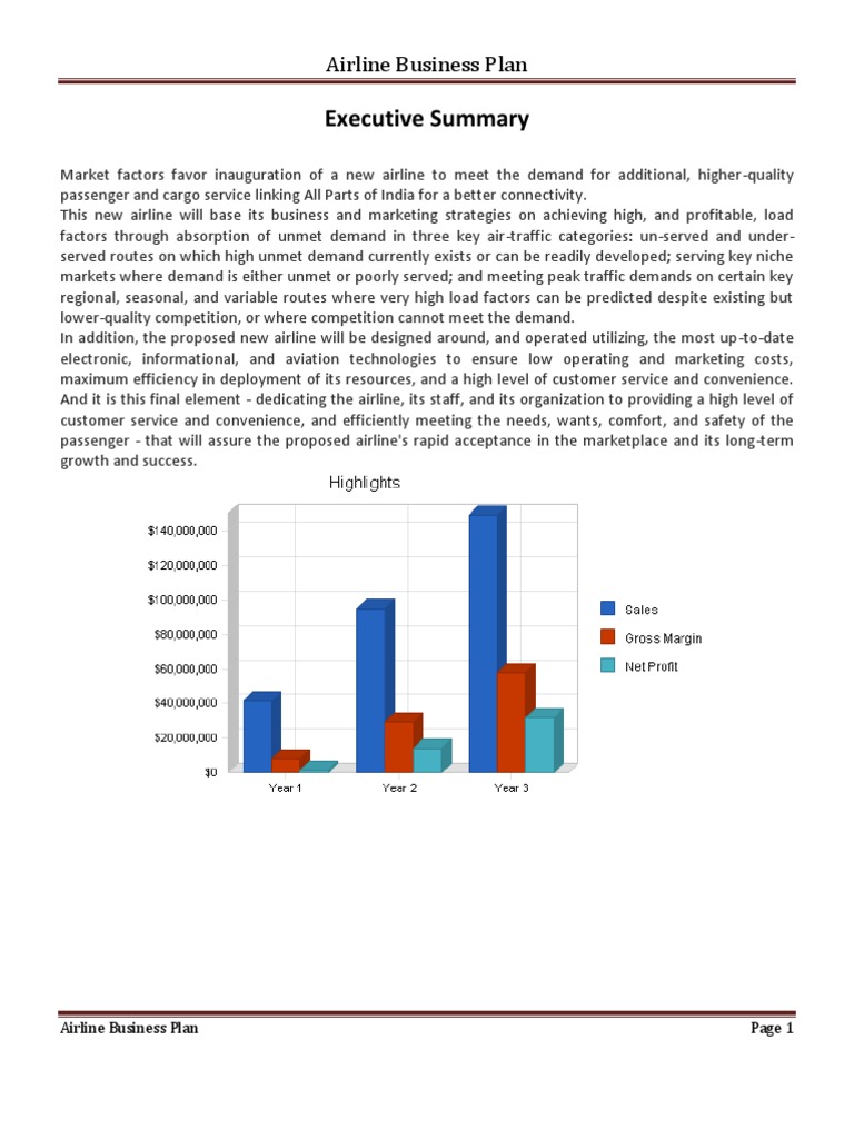 New Airline Business Plan Overview | PDF | Airlines | Expense