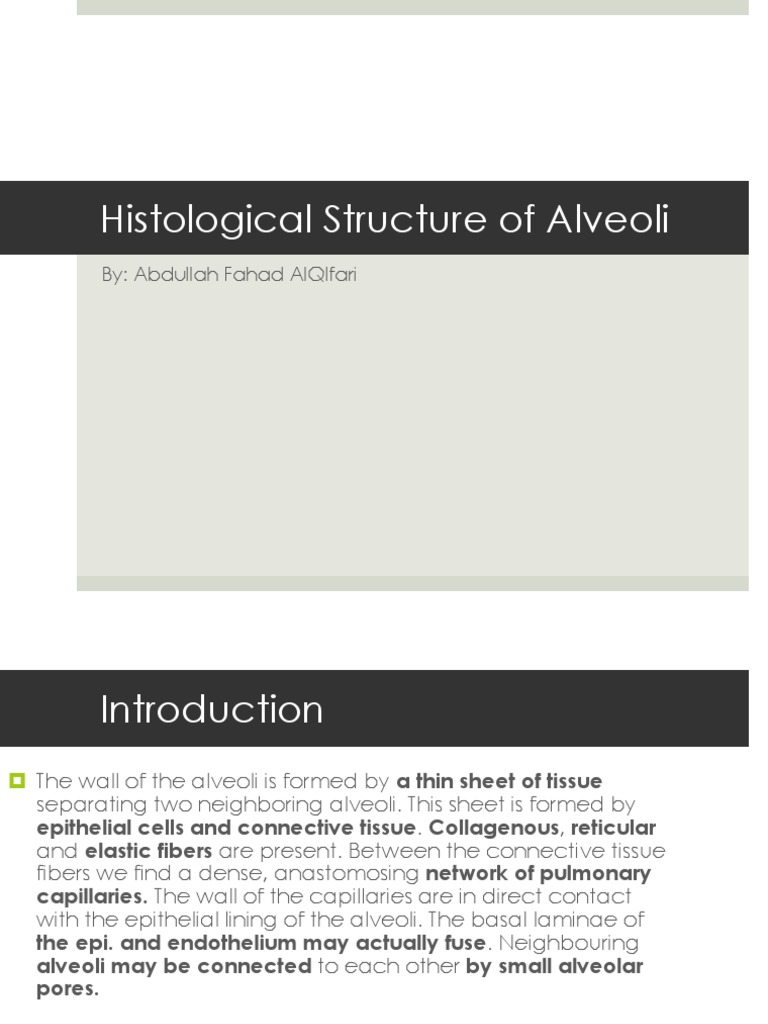 Alveoli Structure for Medical Students | PDF | Art | Science & Mathematics