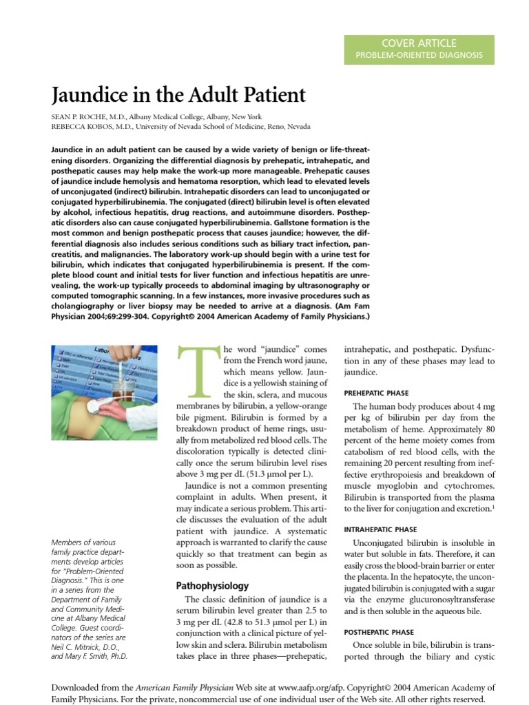 Jaundice in The Adult Patient | PDF