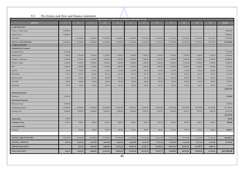 Pro Forma Cash Flow Statement Analysis | PDF | Business | Finance ...