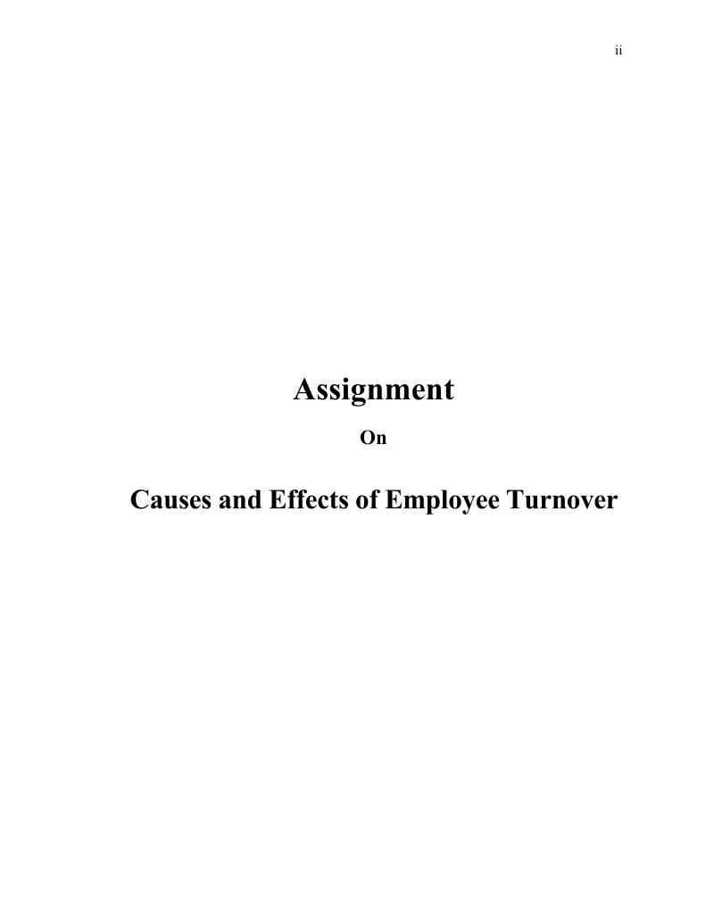 Causes and Effects of Employee Turnover | PDF | Turnover (Employment ...