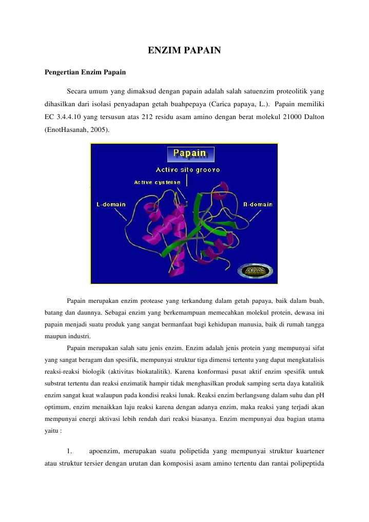 Enzim Papain | PDF | Kesehatan Holistik