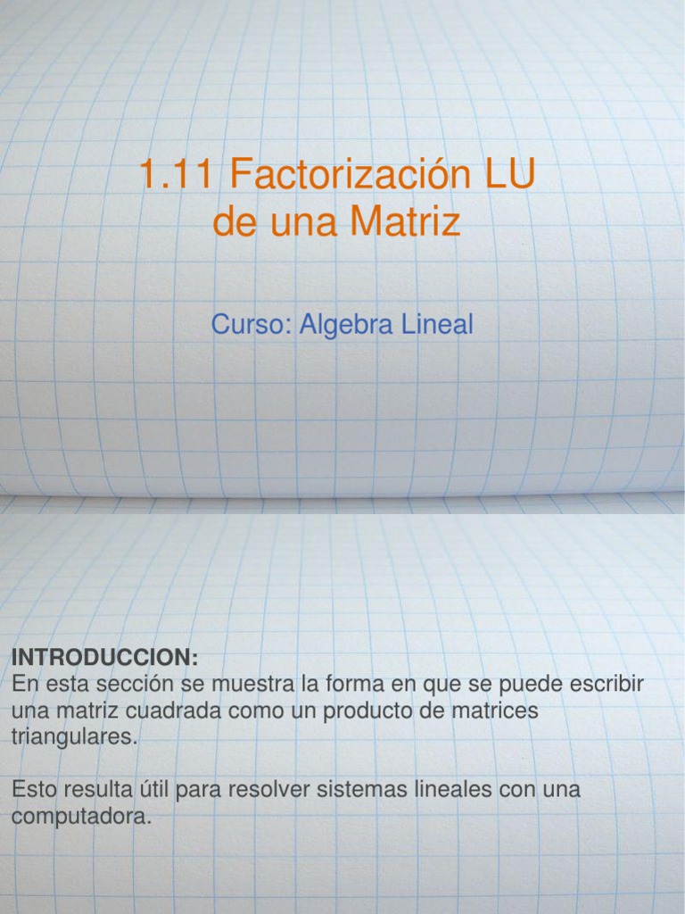 Factorizacion LU de Una Matriz | PDF