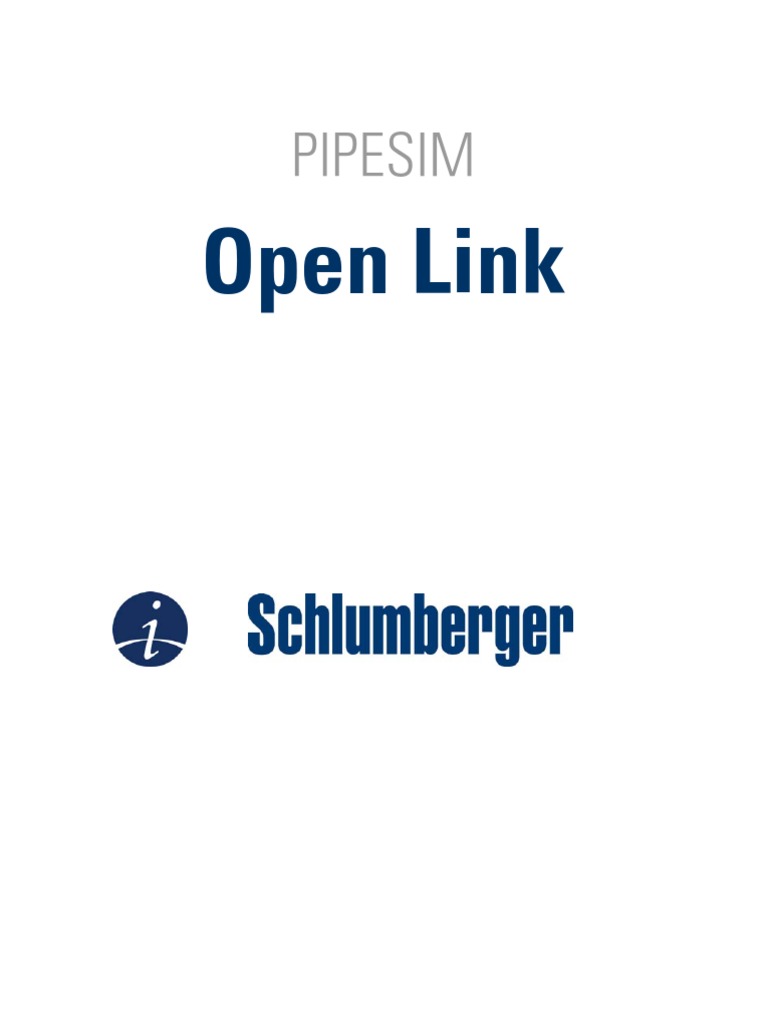 Pipesim Manual | Visual Basic For Applications | Microsoft Excel