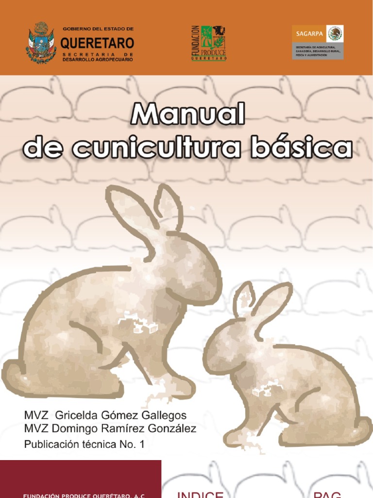 Crianza De Conejos Pdf