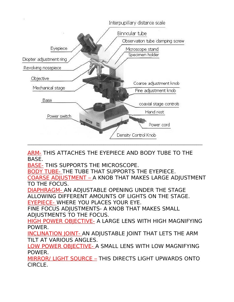 Microscope | PDF