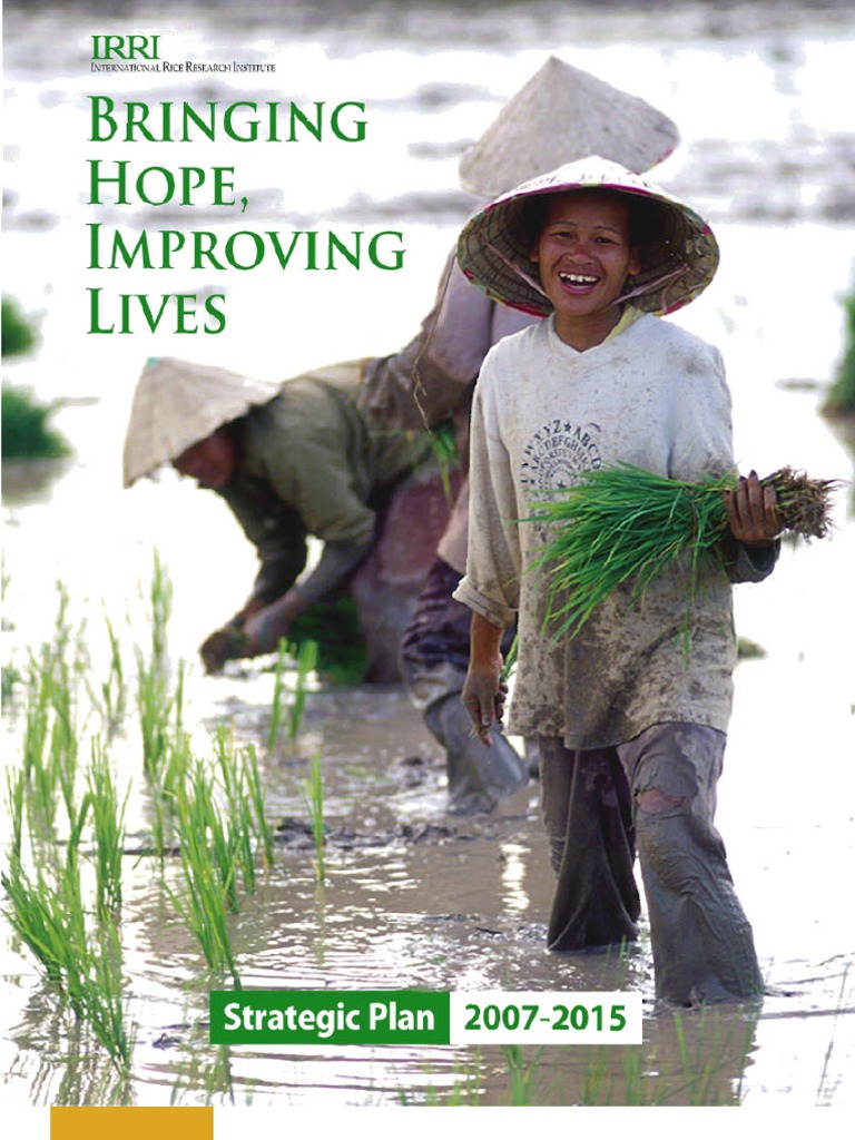 IRRI Strategic Plan 2007-2015 | PDF | International Rice Research ...