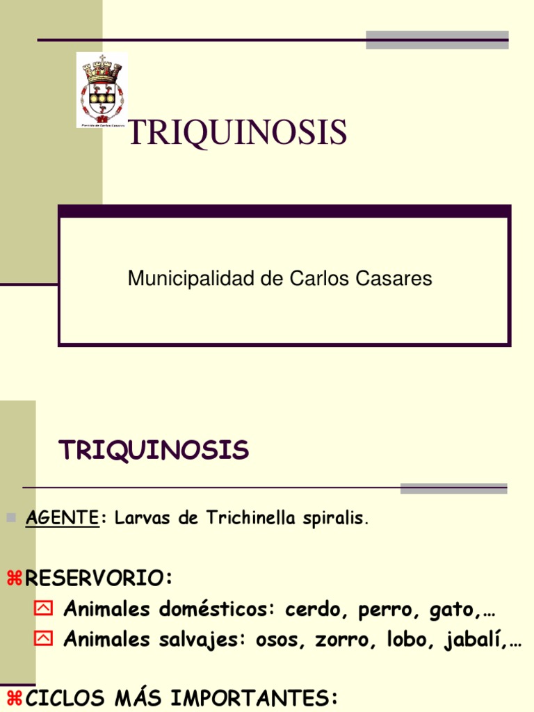 Triquinosis | PDF | Enfermedades y trastornos | Especialidades Medicas
