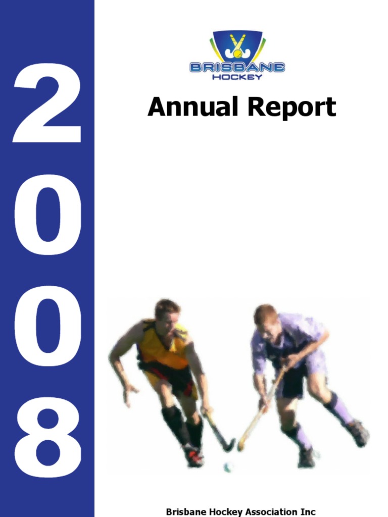 BHA Inc Annual Report - 2008 | PDF | Payments | Media Bias