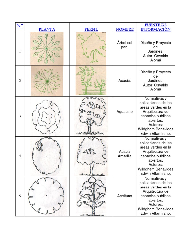 Arboles | PDF | Arboles | Forma de vida vegetal
