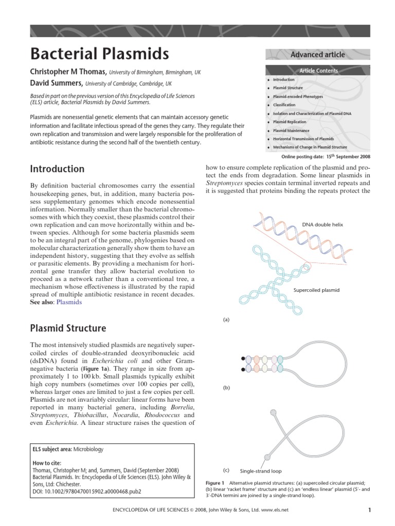 Bacterial Plasmids Pdf Plasmid Gene