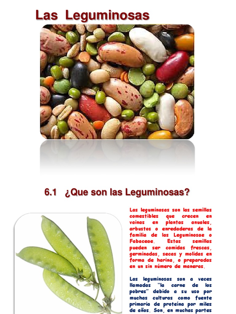 Leguminosas | Legumbre | Nutrición