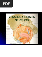 Sacral OMM Guide | PDF | Anatomical Terms Of Motion | Human Anatomy