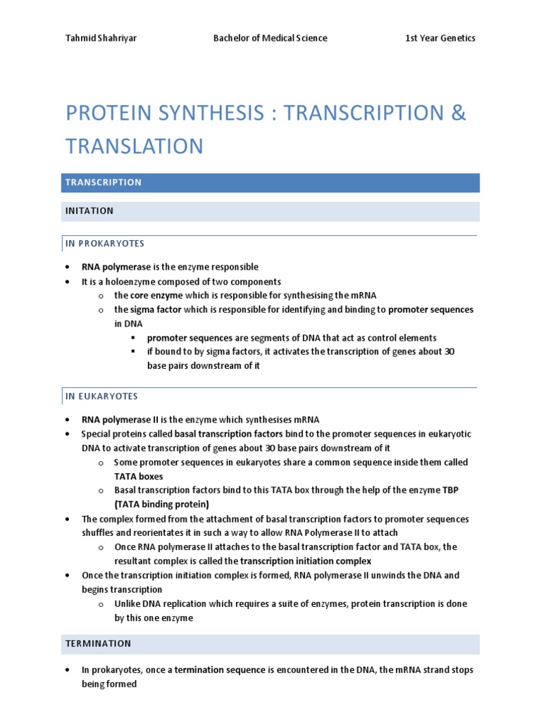 Protein Synthesis: Transcription & Translation | PDF | Translation (Biology) | Messenger Rna
