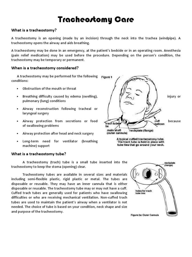 Tracheostomy Care | PDF | Respiratory System | Medical Specialties