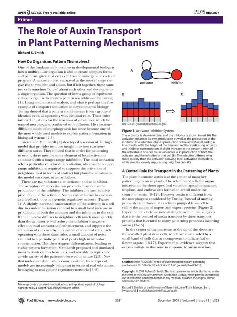 The Role of Auxin Transport | PDF | Auxin | Developmental Biology