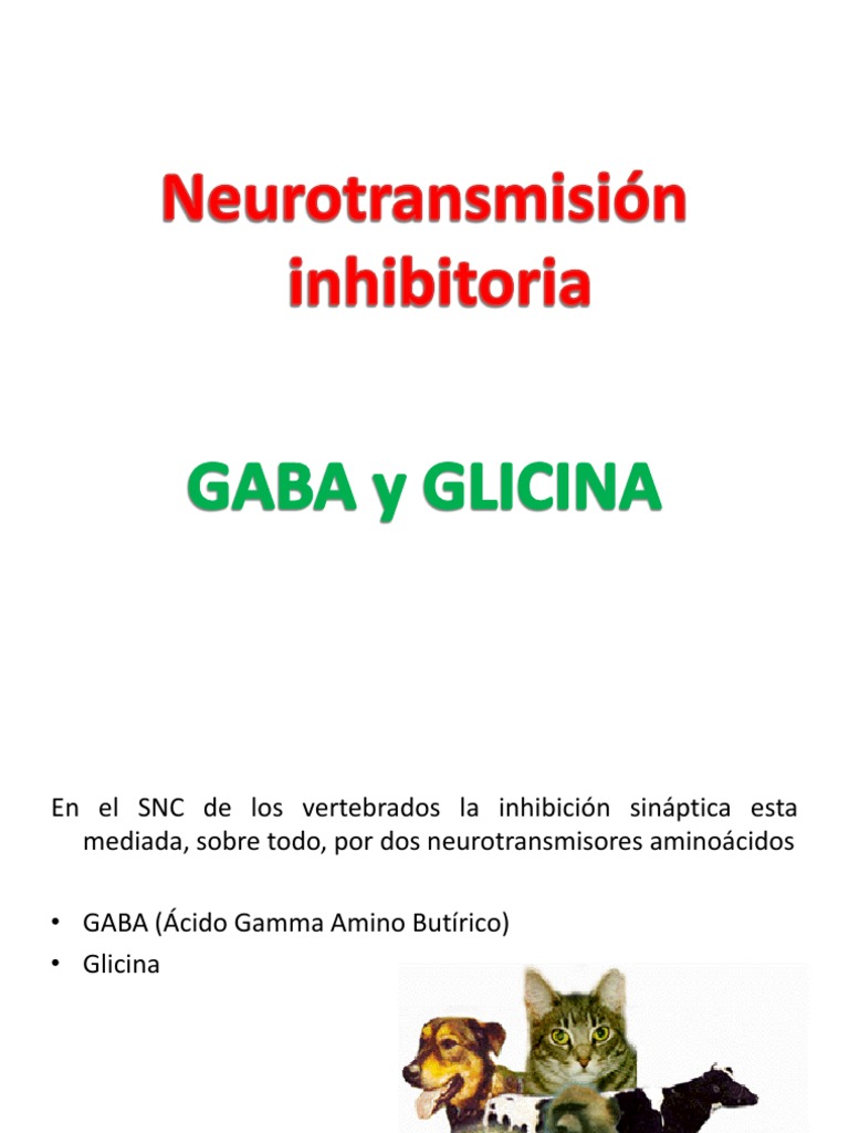 GABA y Glicina | PDF | Ácido gamma-aminobutírico | Glicina