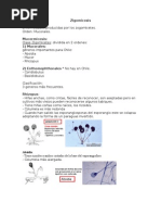 Tipos y causas de discromías cutáneas | PDF | Piel | Enfermedades y ...