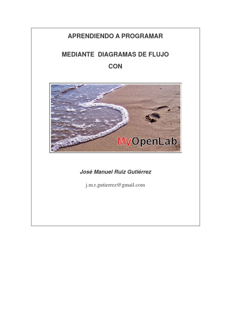 Aprendiendo A Programar Con Diagramas de Flujo | PDF