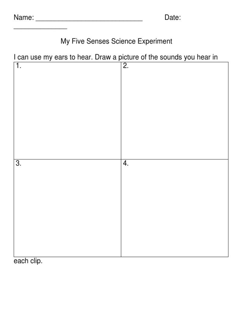 My Five Senses Experiment | PDF