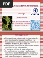 Identificación Macro y Microscópica de Los Dermatofitos | PDF