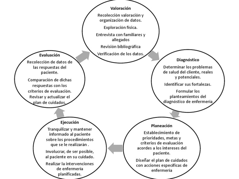 Diagrama Fases Del PAE-Enfermería | Descargar gratis PDF | Diagnostico ...