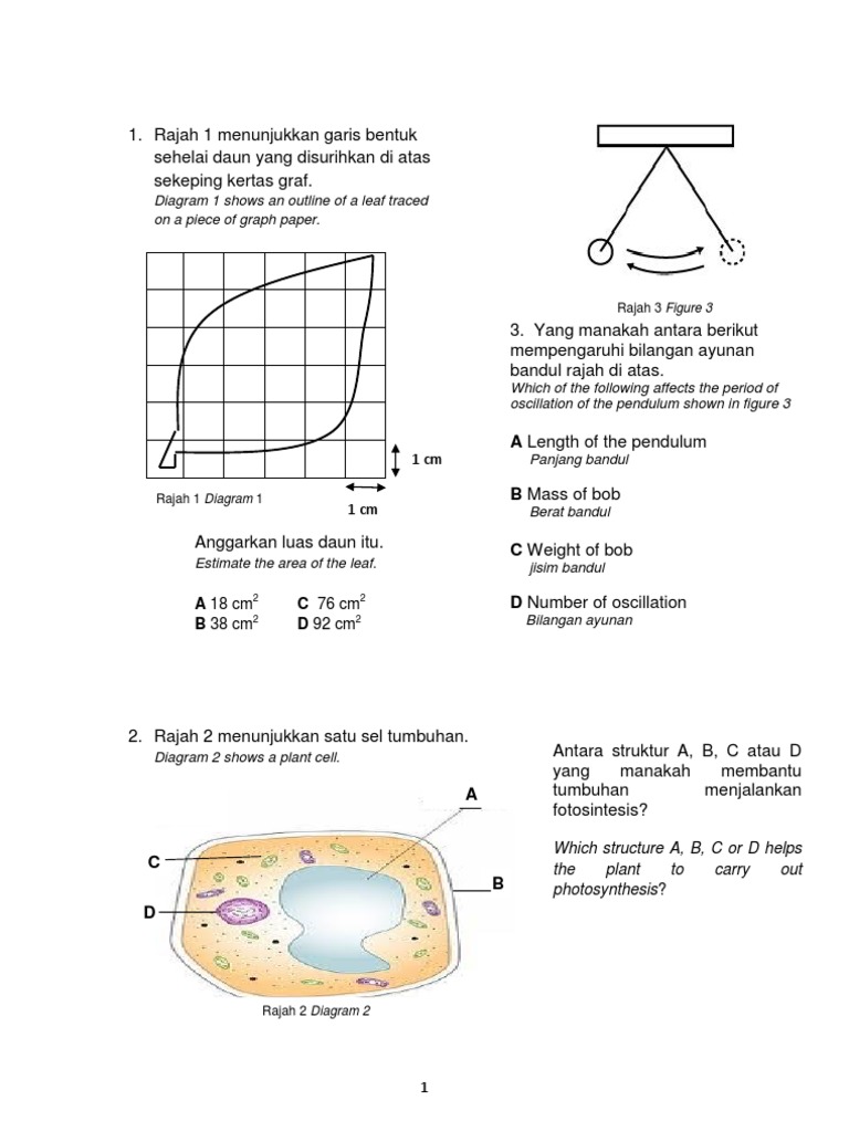 Soalan Sains Akhir Tahun k1 Segamat | PDF
