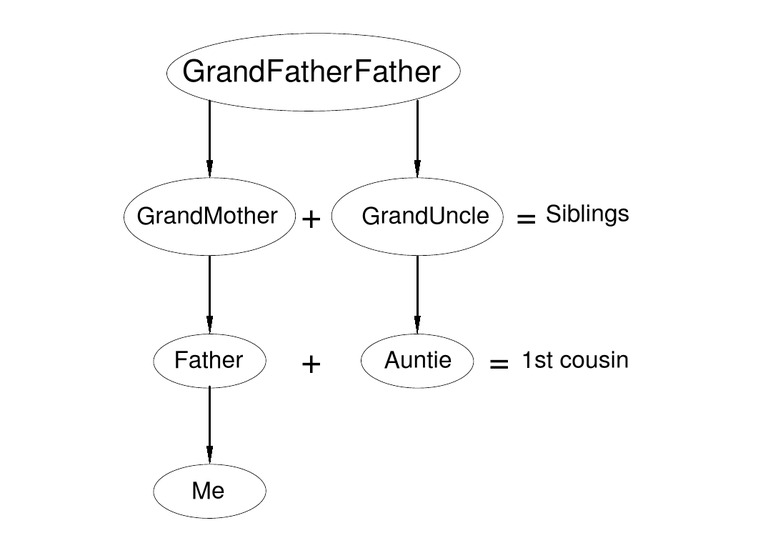Family Tree Model | PDF