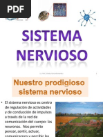 Cómo Acceder A Neuronup para Tu Sesión | PDF