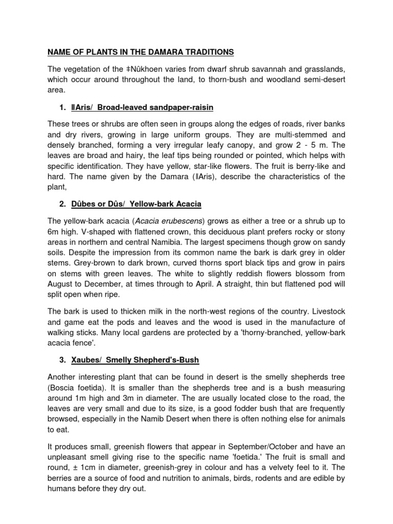 Damara Plant Names and Uses | PDF | Trees | Desert