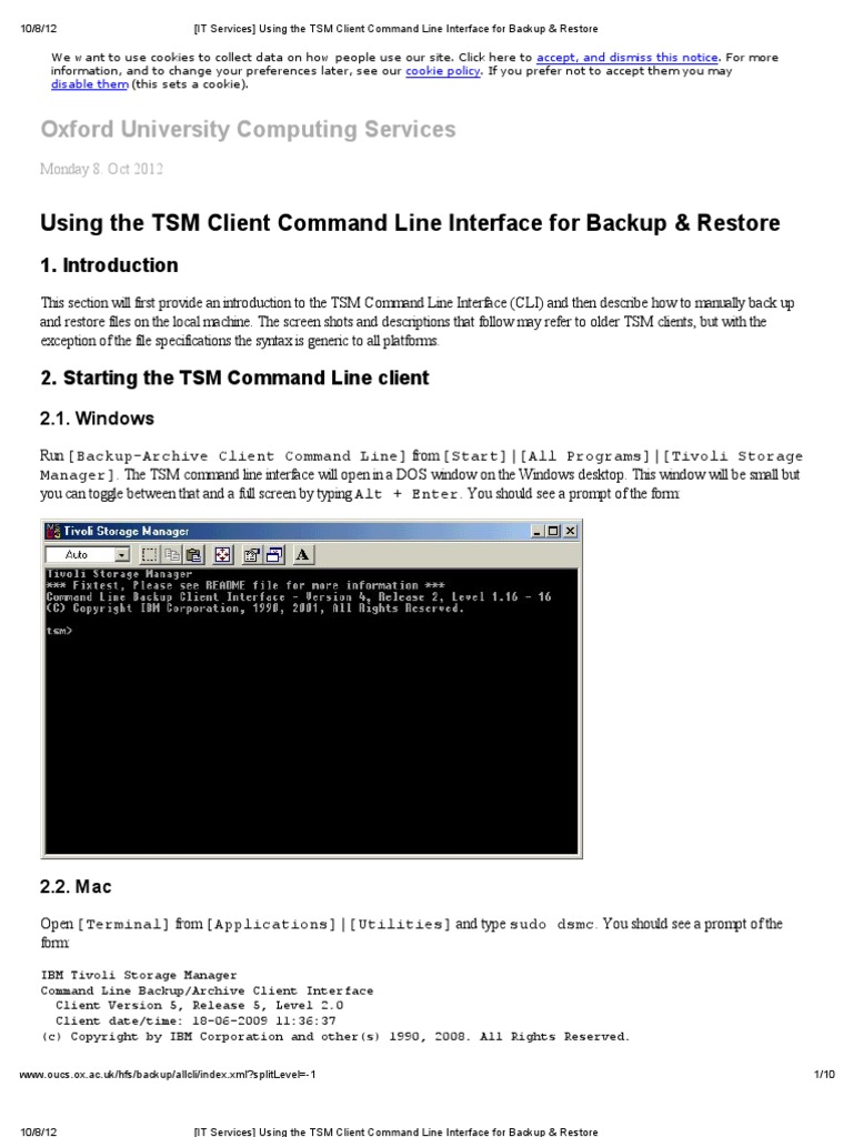 Using The TSM Client Command Line Interface For Backup & Restore | PDF ...