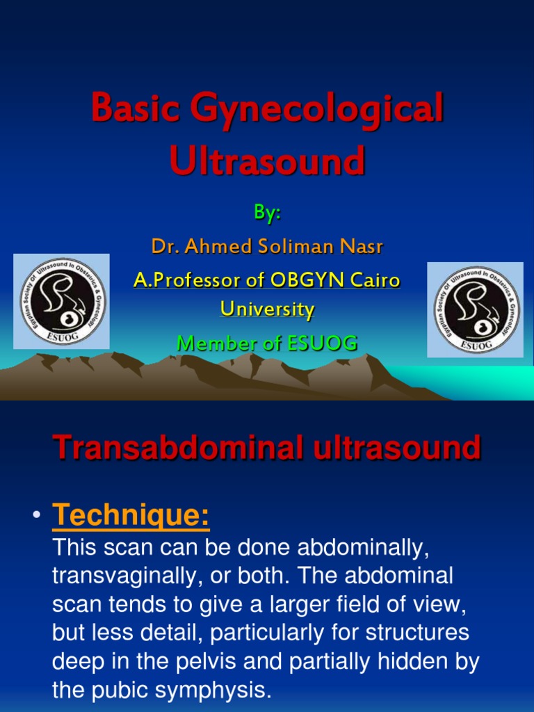 Gynecological Ultrasound Basic2 | PDF | Menstrual Cycle | Ovary