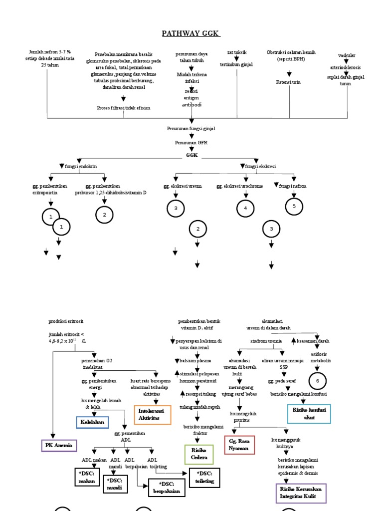 Pathway GGK Lansia | PDF