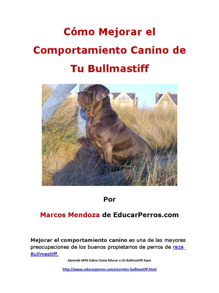 Como Mejorar El Comportamiento Canino de Tu Bullmastiff | PDF ...