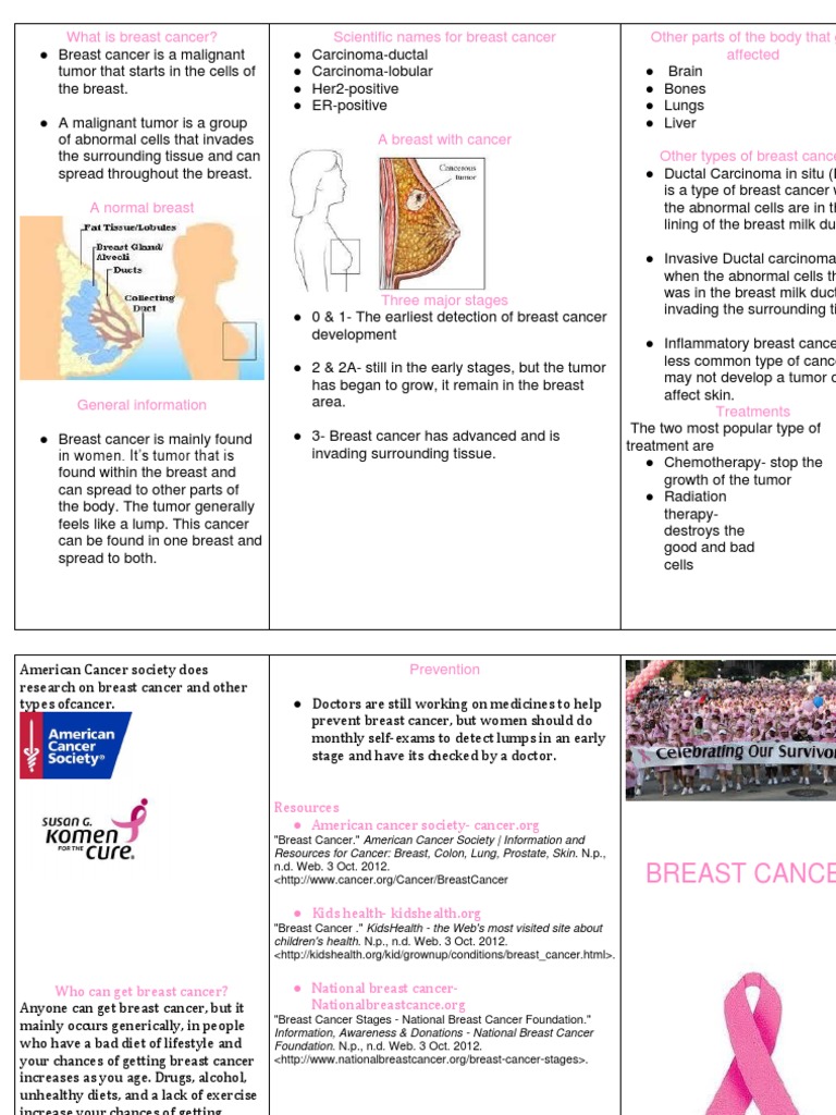 Copy of 3 Fold Brochure Template | Breast Cancer | Cancer