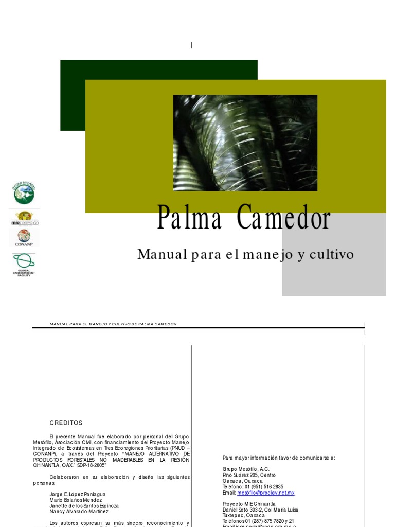 Manual Palma Camedor | PDF | Los bosques | Siembra
