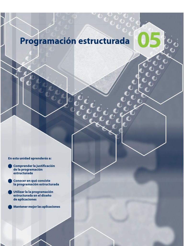 Programacion Estructurada | PDF