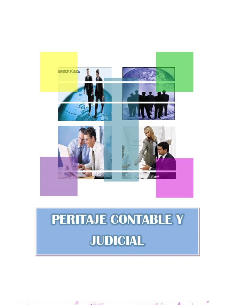 Peritaje Contable y Judicial en Huancavelica | PDF | Testigo experto ...