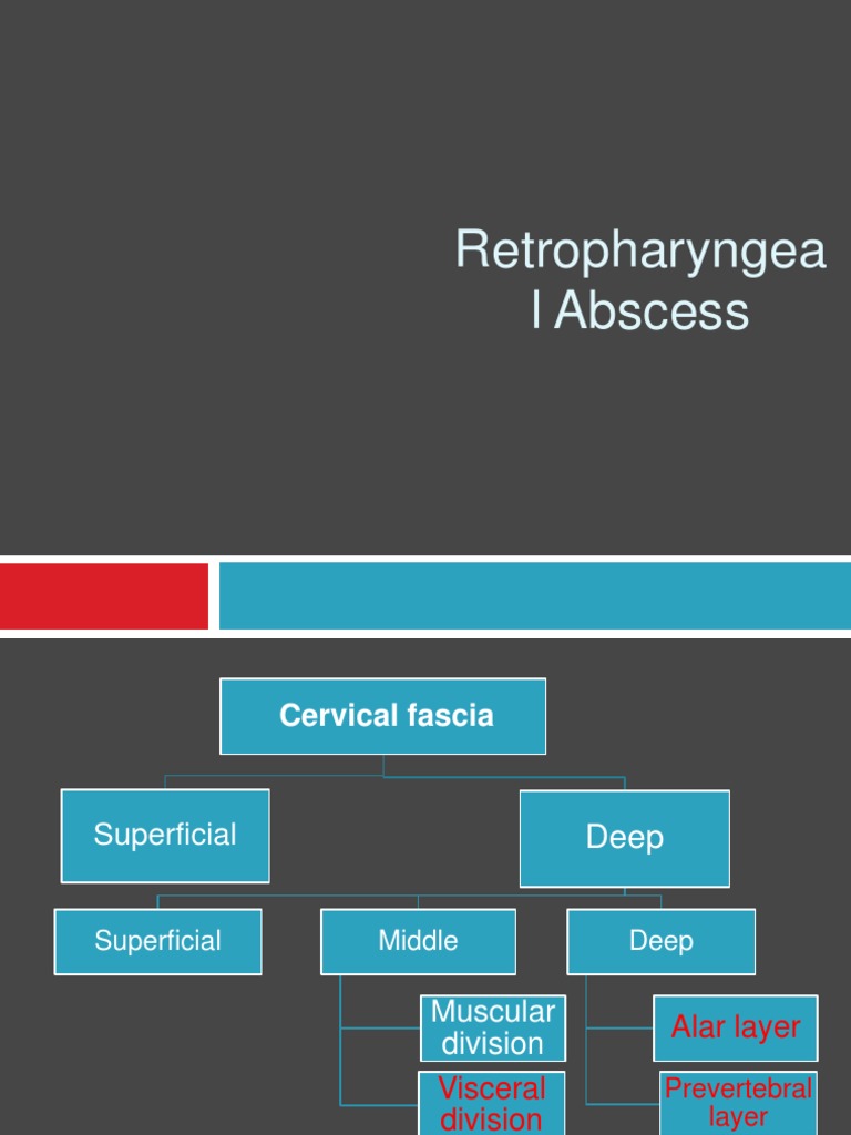 Retropharyngeal Abscess Overview | PDF | Neck | Anatomical Terms Of ...