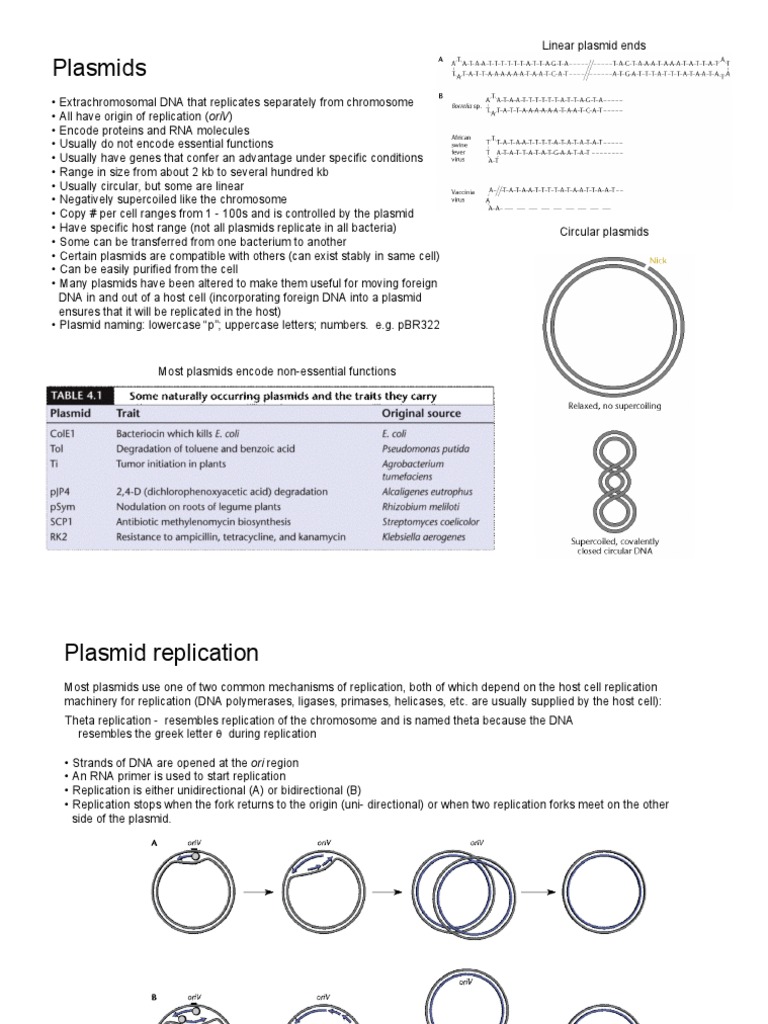 Plasmids Replication | PDF | Dna Replication | Plasmid