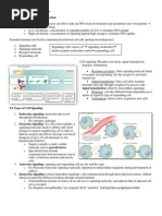 AP Biology Chapter 17 Reading Guide | PDF | Translation (Biology ...