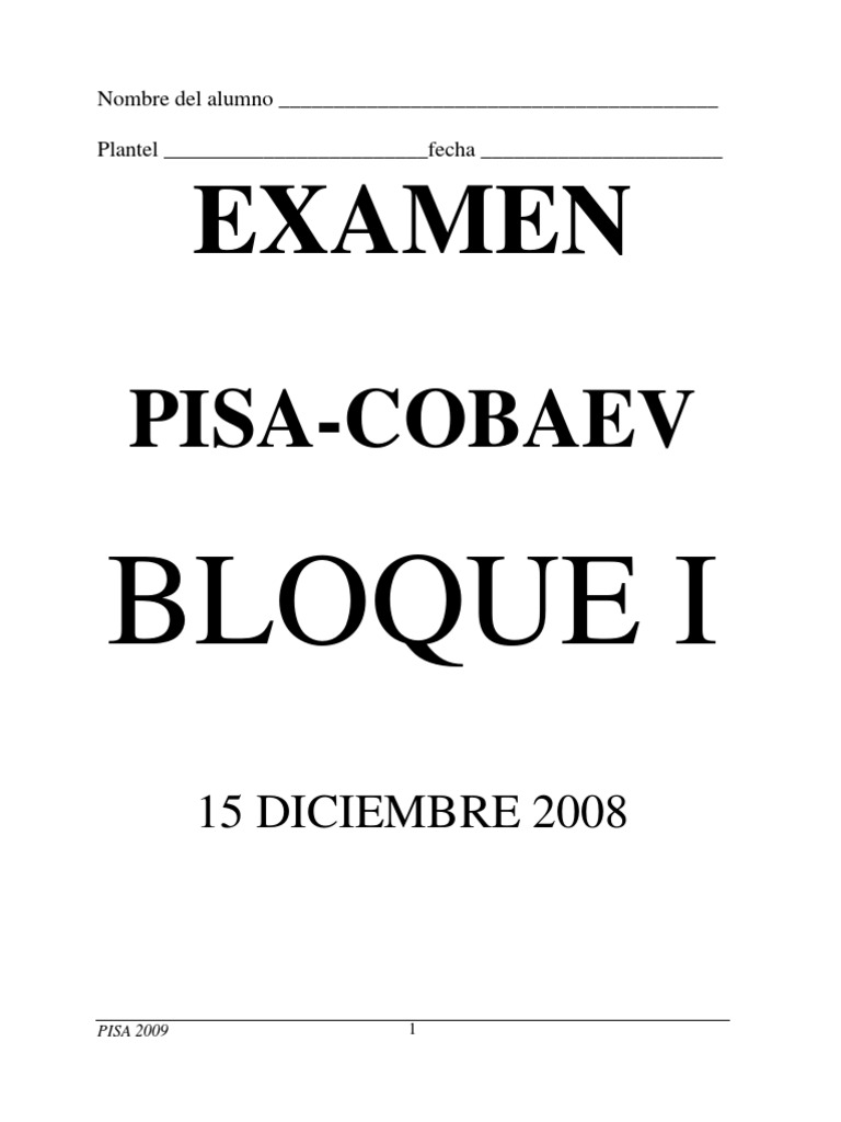 Ejemplo Examen Pisa | PDF