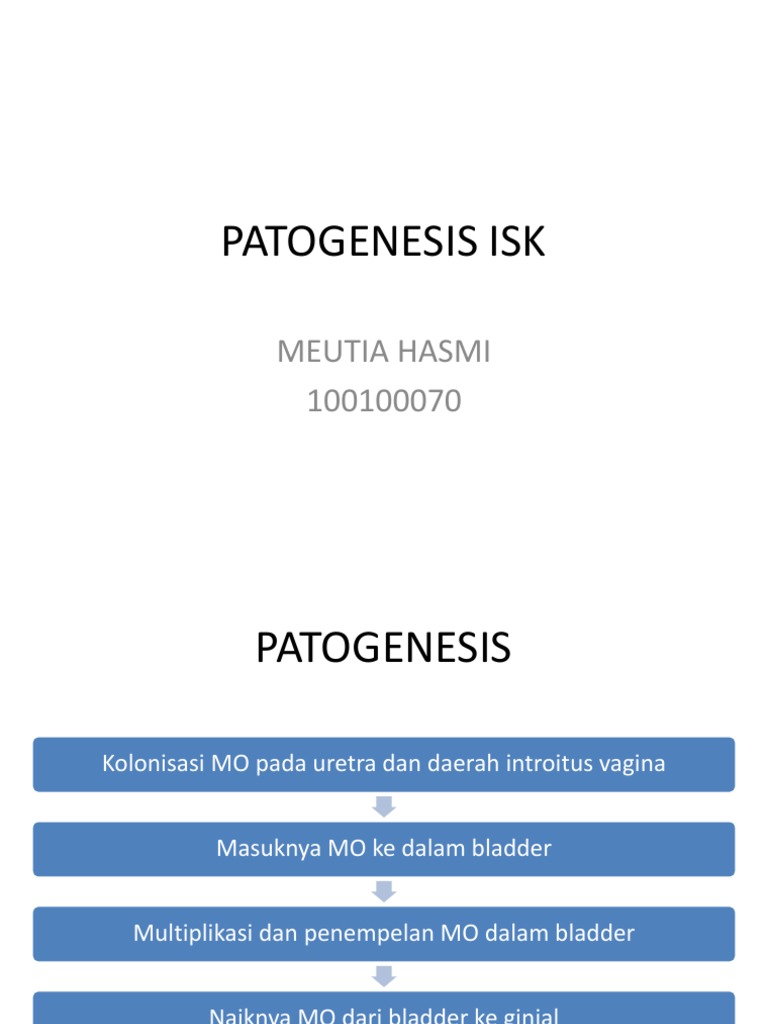 Patogenesis Isk | PDF