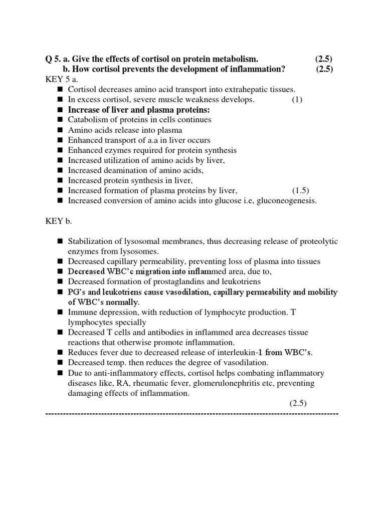 SEQs Key Send-Up 2nd Year Mbbs Amna Inayat Medical College | PDF | Somatosensory System | Kidney