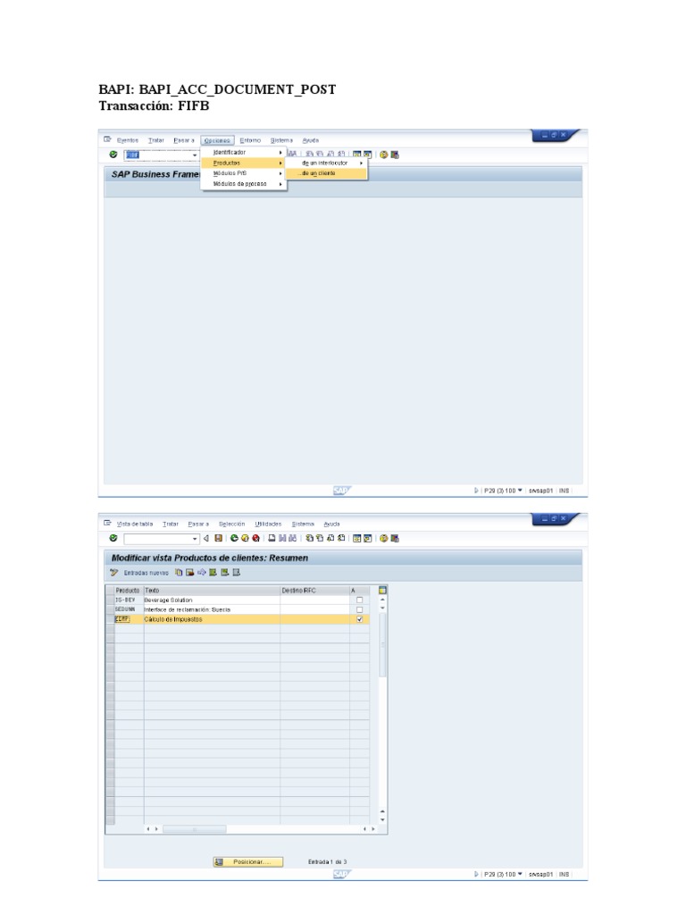 Bapi Acc Document Post | PDF